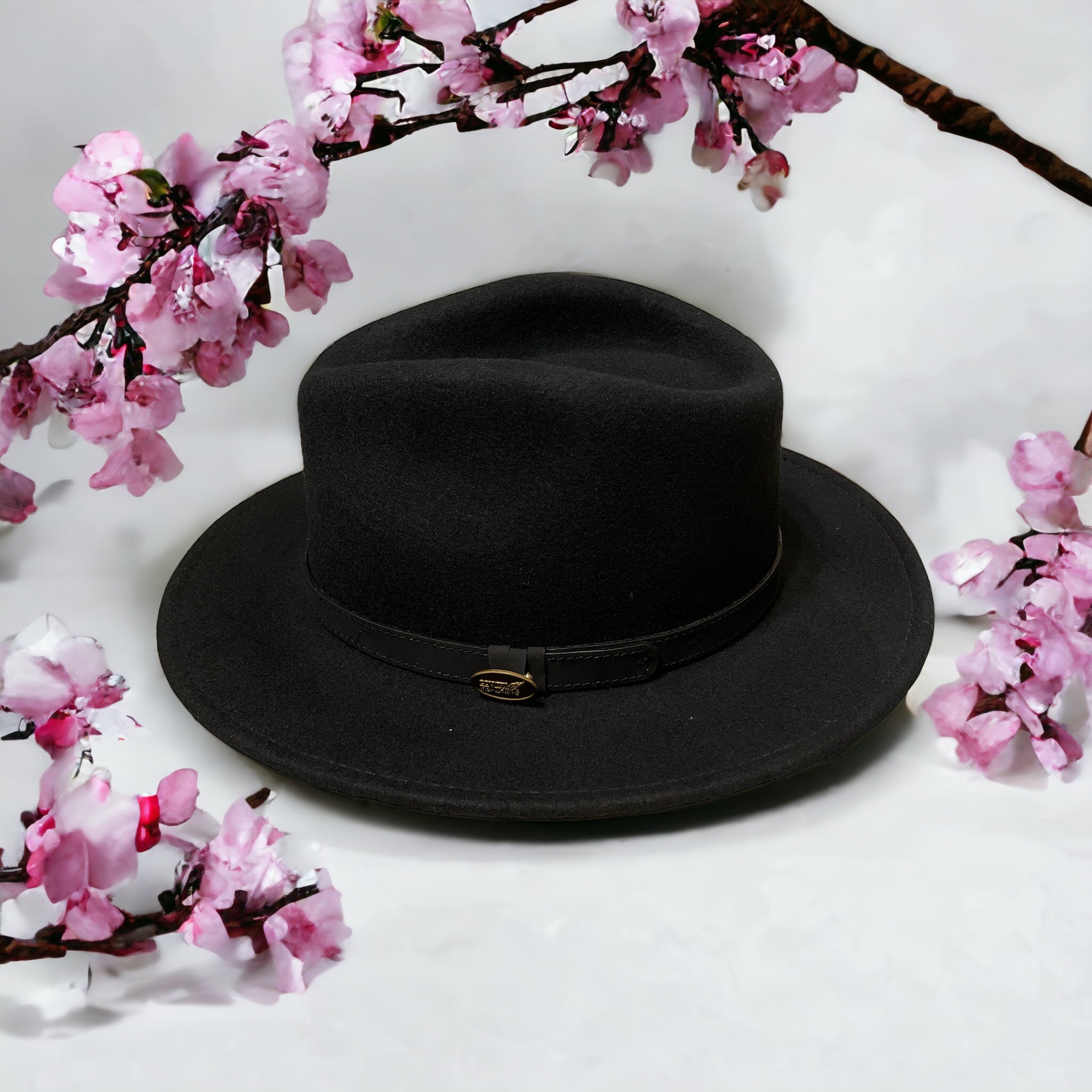 Fedora Black Hat With a Black Leather Band – Country Feathers